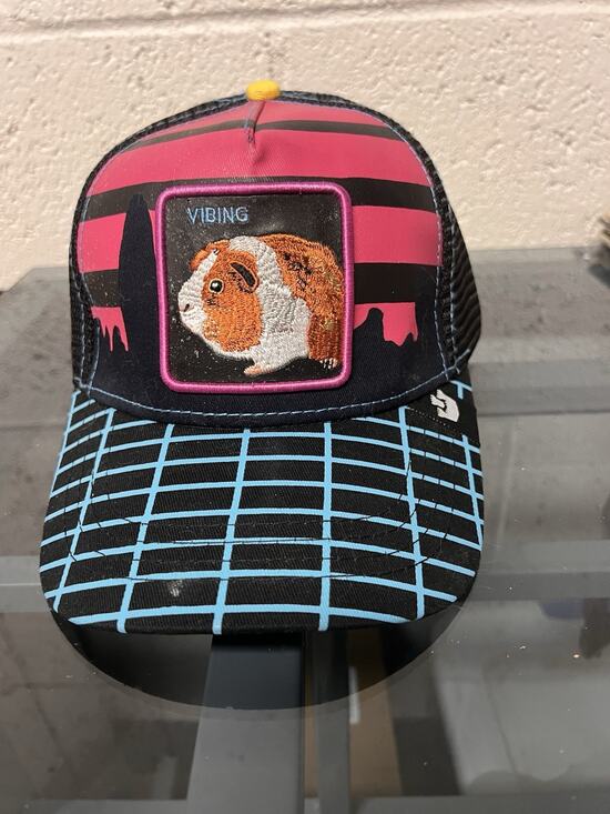 Goorin Bros | Accessories | Goorin Bros Trucker Hat Limited Edition The ...